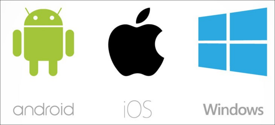 공용 와이파이 연결 잘 안될 때 해결법 - 초간단 - All Honey Tip