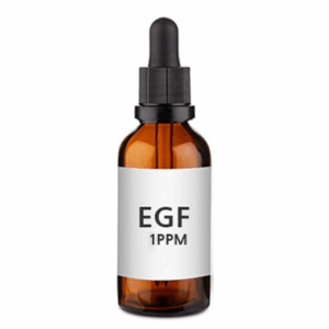 EGF 화장품 추천 BEST 5 | 피부 재생/미세주름 앰플 비교 - All Honey Tip